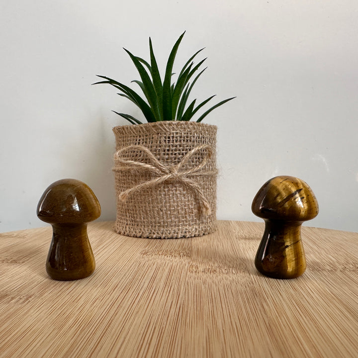 Products – Cosy Angel